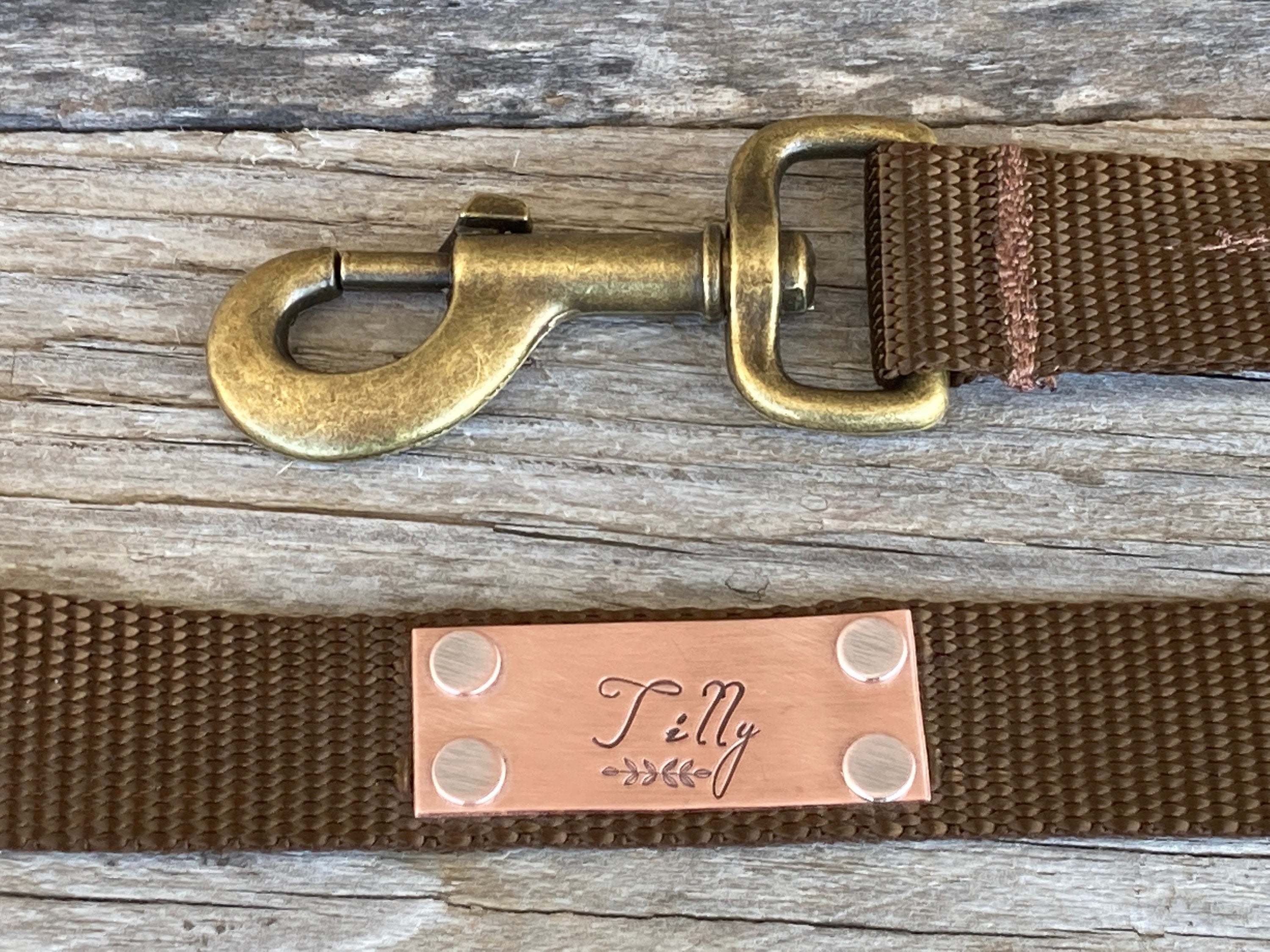 Personalized Dog Puppy Leash 1" Wide Fancy Script Font Nylon Strong Ny ...
